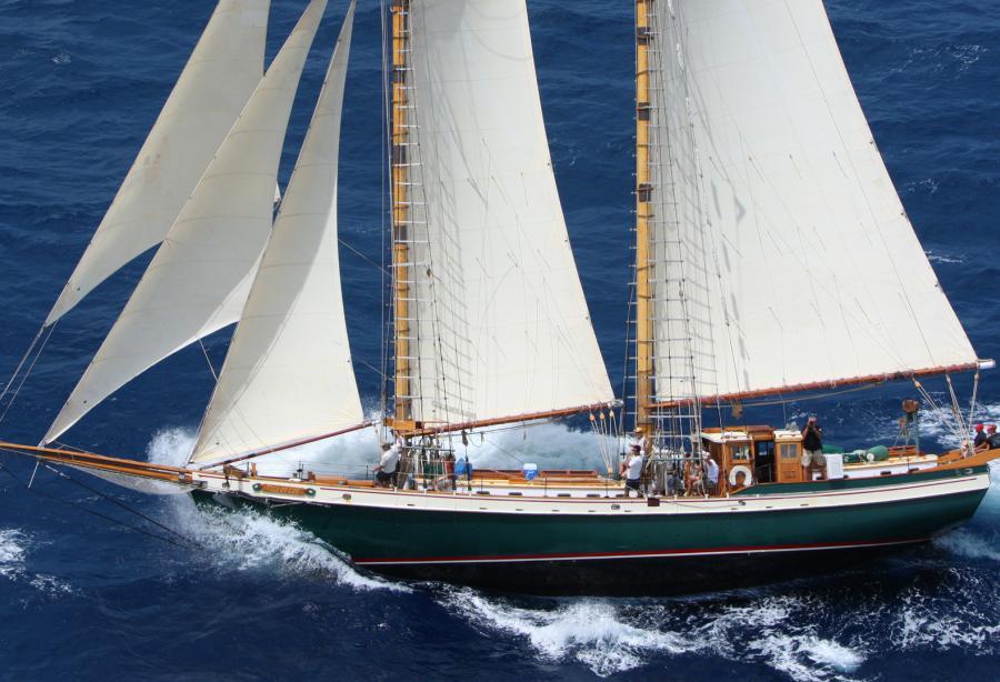 Sailing yacht Tree of Life - Corey Island Boatworks - Yacht Harbour